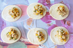 Creamy Chicken Half Moon Recipe - Tantalise My Taste Buds